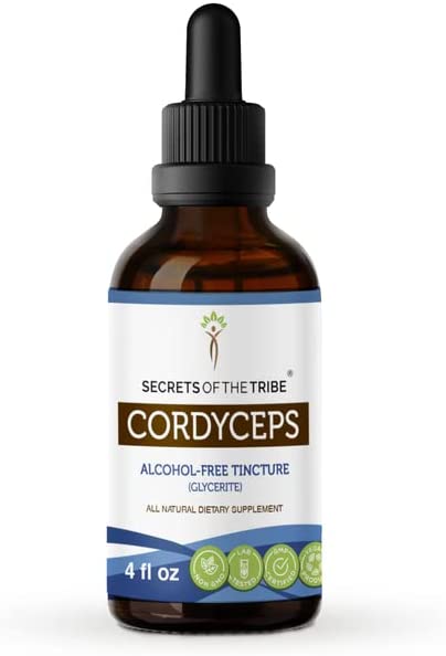 Cordyceps Tincture Alcohol-Free Extract, High-Potency Herbal Drops ...