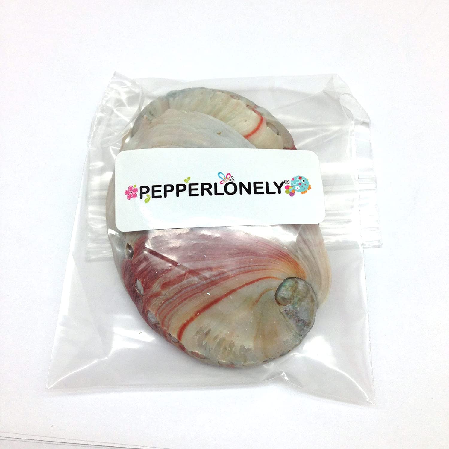 PEPPERLONELY 2 PC Red Baby Abalone Sea Shells, 3.25 Inch Up