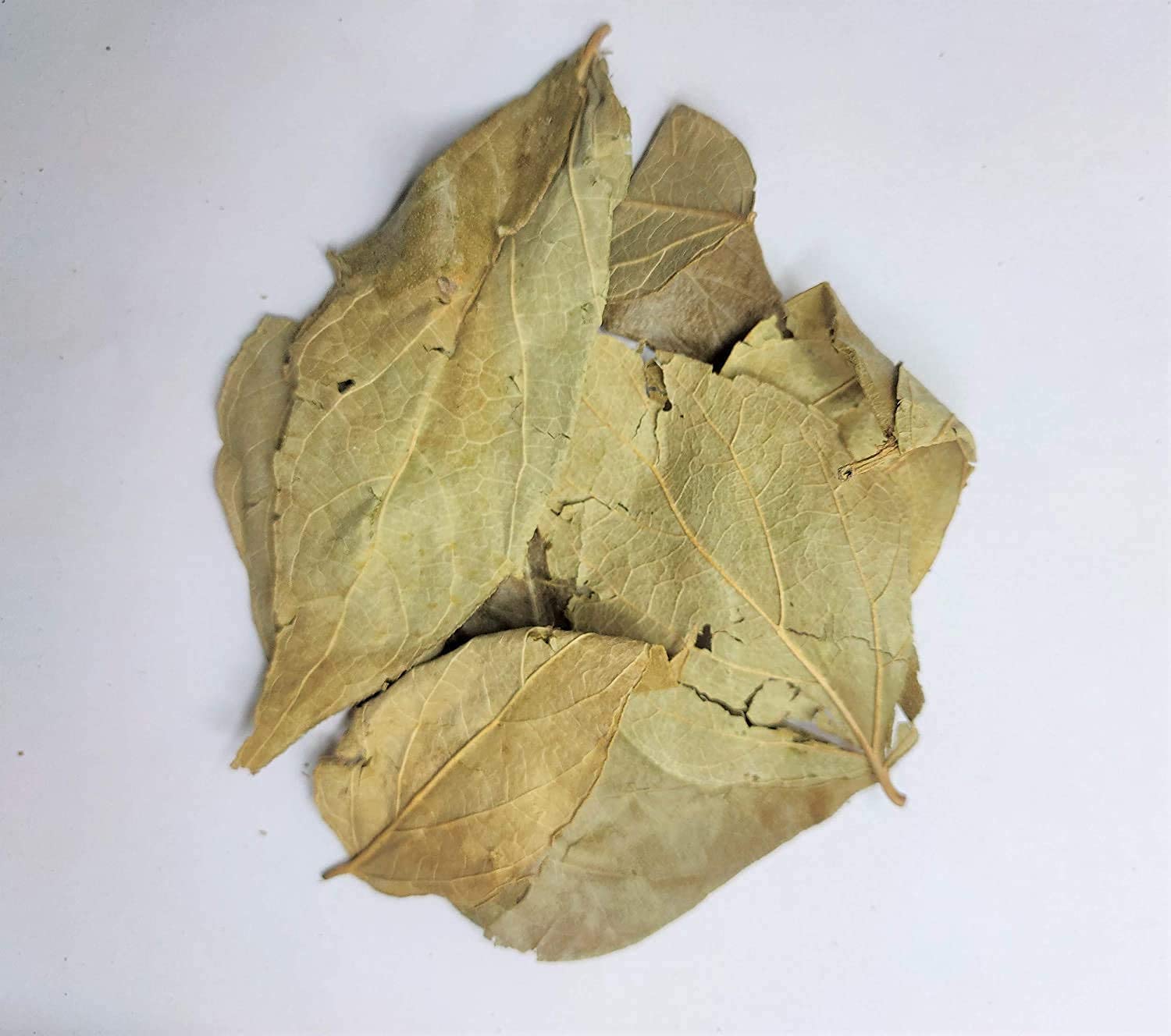 Veena Parijatak Pan Powder - Harsingar Patti Powder - Paarijaat Leaf ...