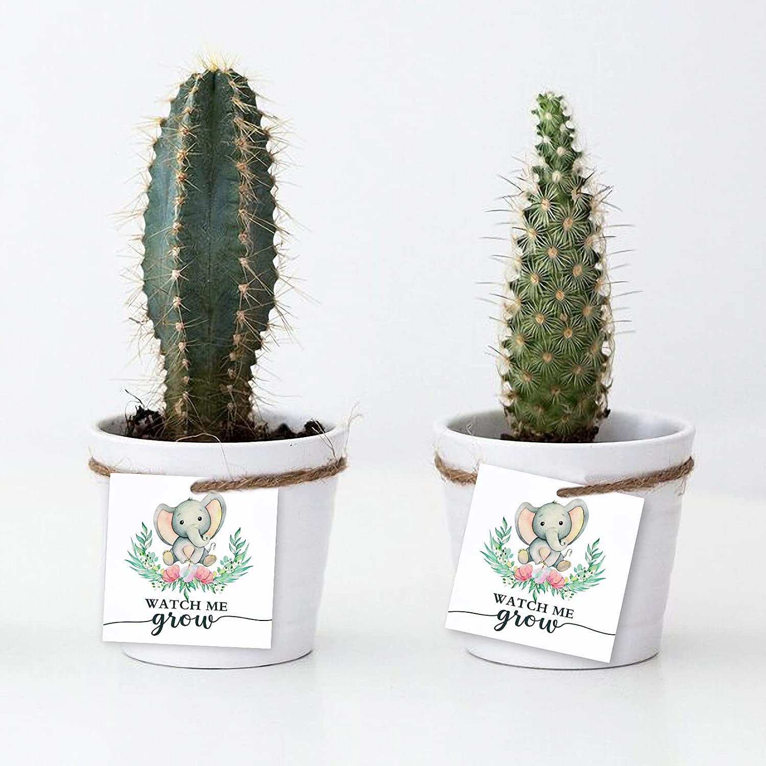 Watch Me Grow Tags for Baby Shower Succulents, Cute Elephant with ...