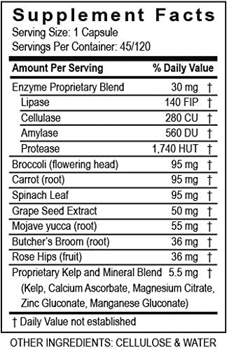 RepairZyme Practitioner Recommended -Nutritional Building Blocks to ...