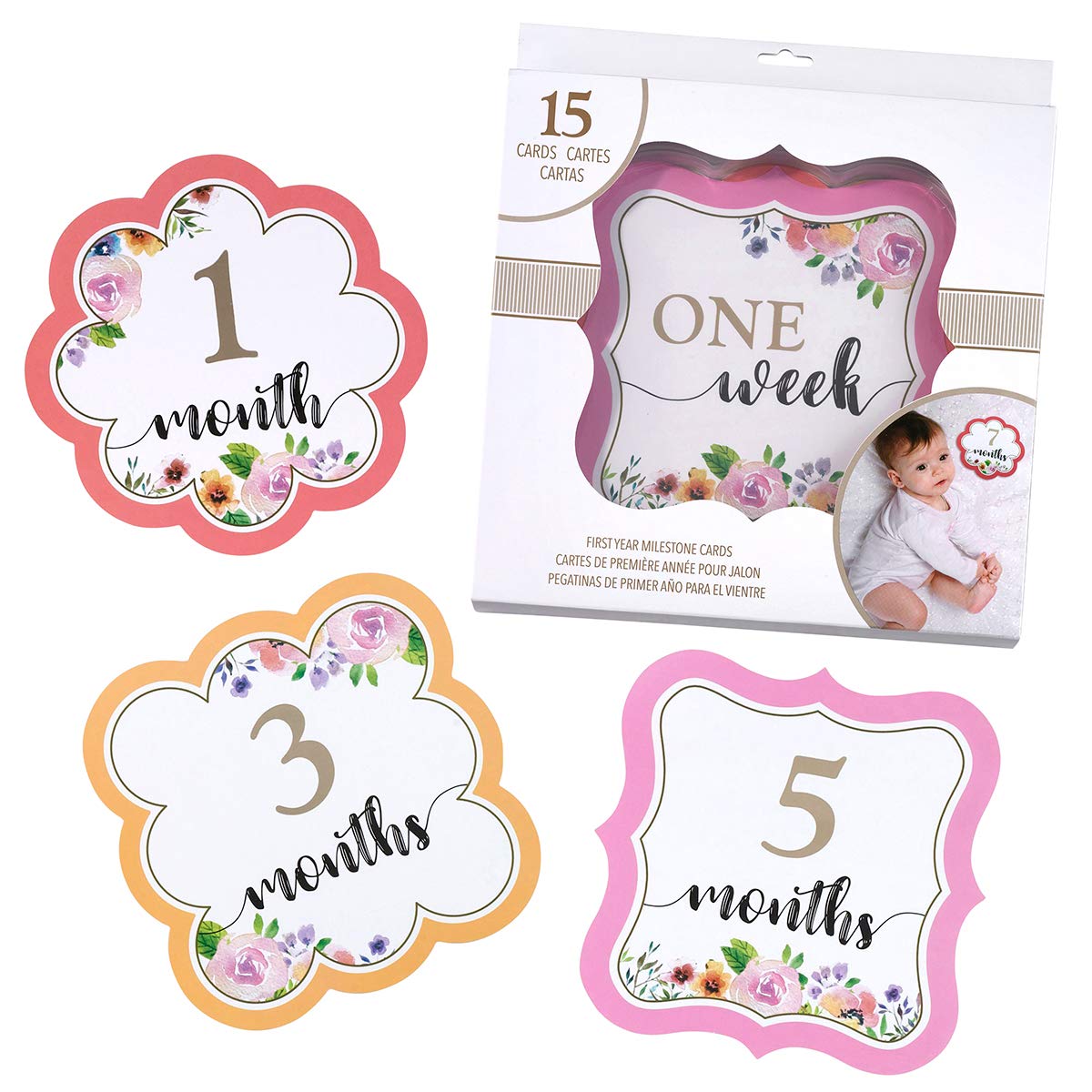 Lillian Rose Pink Watercolor, Milestone Card Set, 1-15 Months