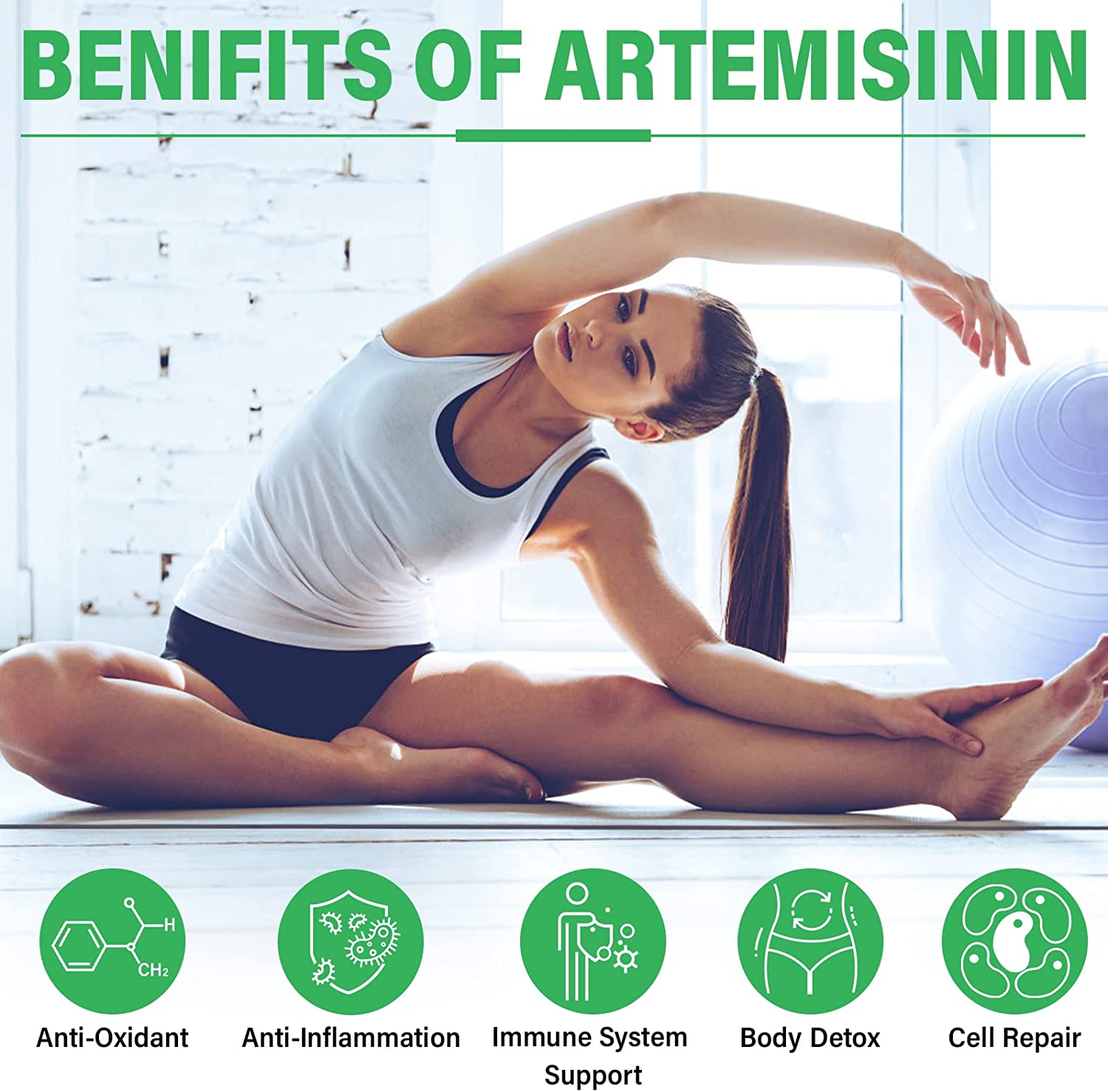 Liposomal Artemisinin 600MG with Quercetin Phytosome, Maximum ...