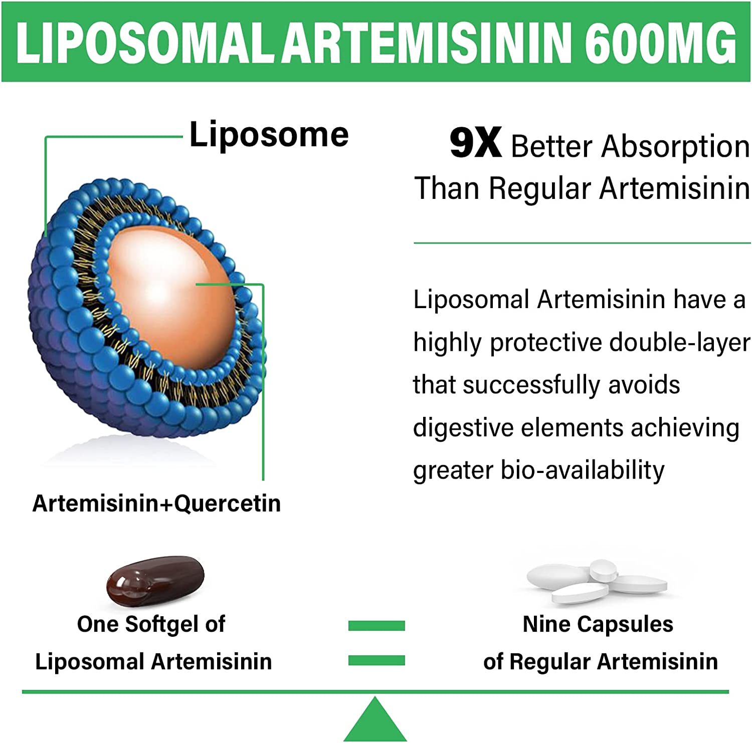 Liposomal Artemisinin 600MG with Quercetin Phytosome, Maximum ...