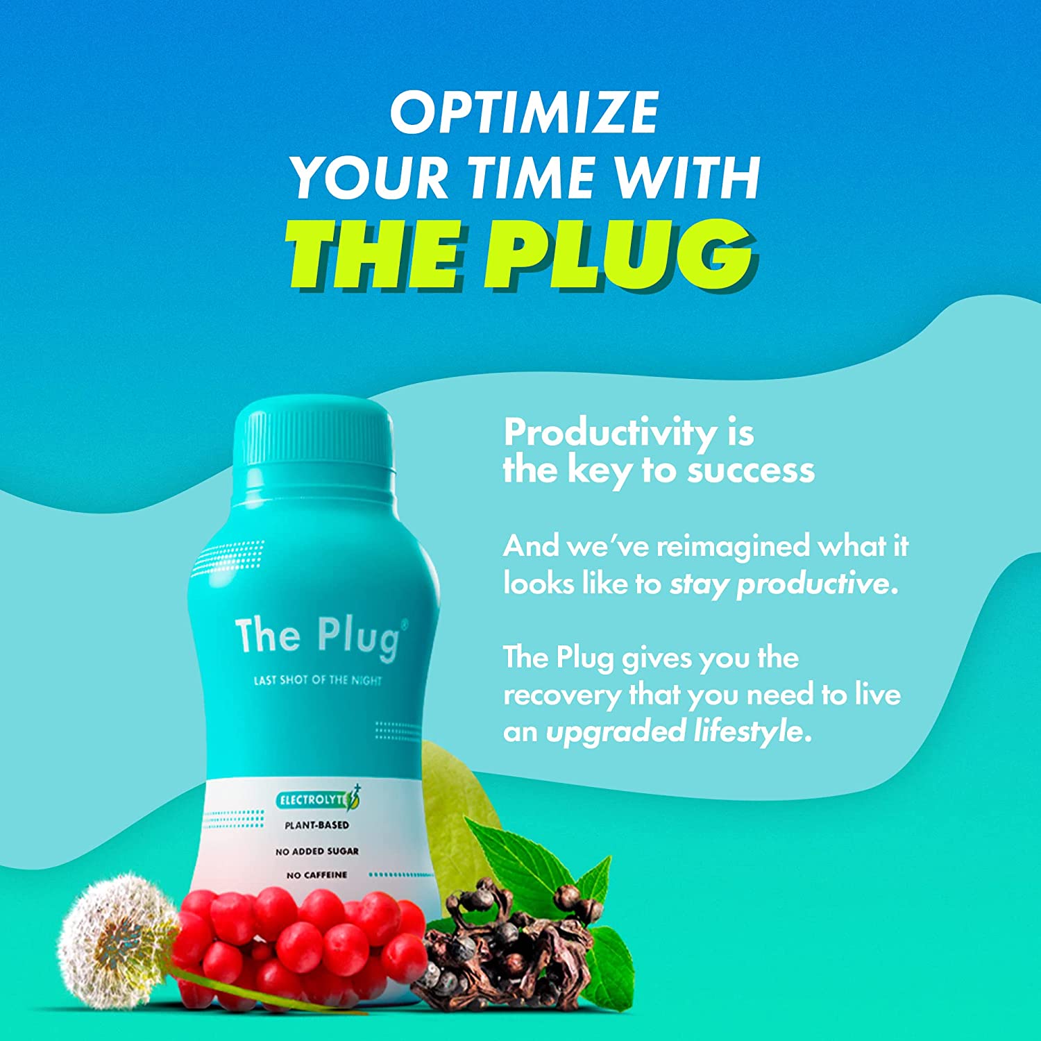 The Plug Recovery Drink, 6-Pack - All-Natural Plant-Based Electrolyte ...