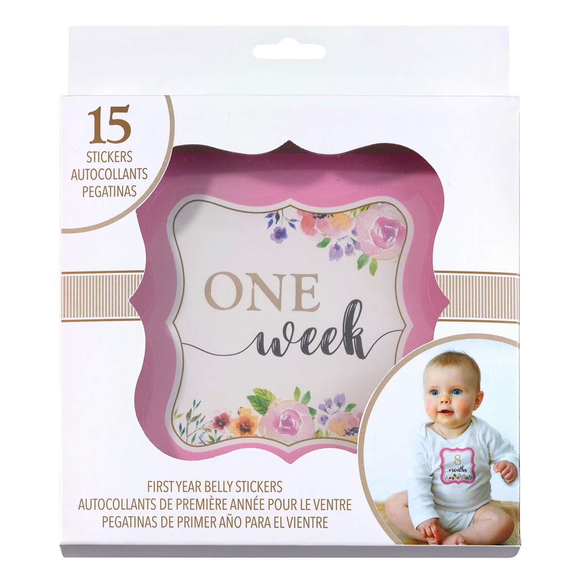 Lillian Rose Pink Watercolor, Baby Belly Stickers, 1-15 Months