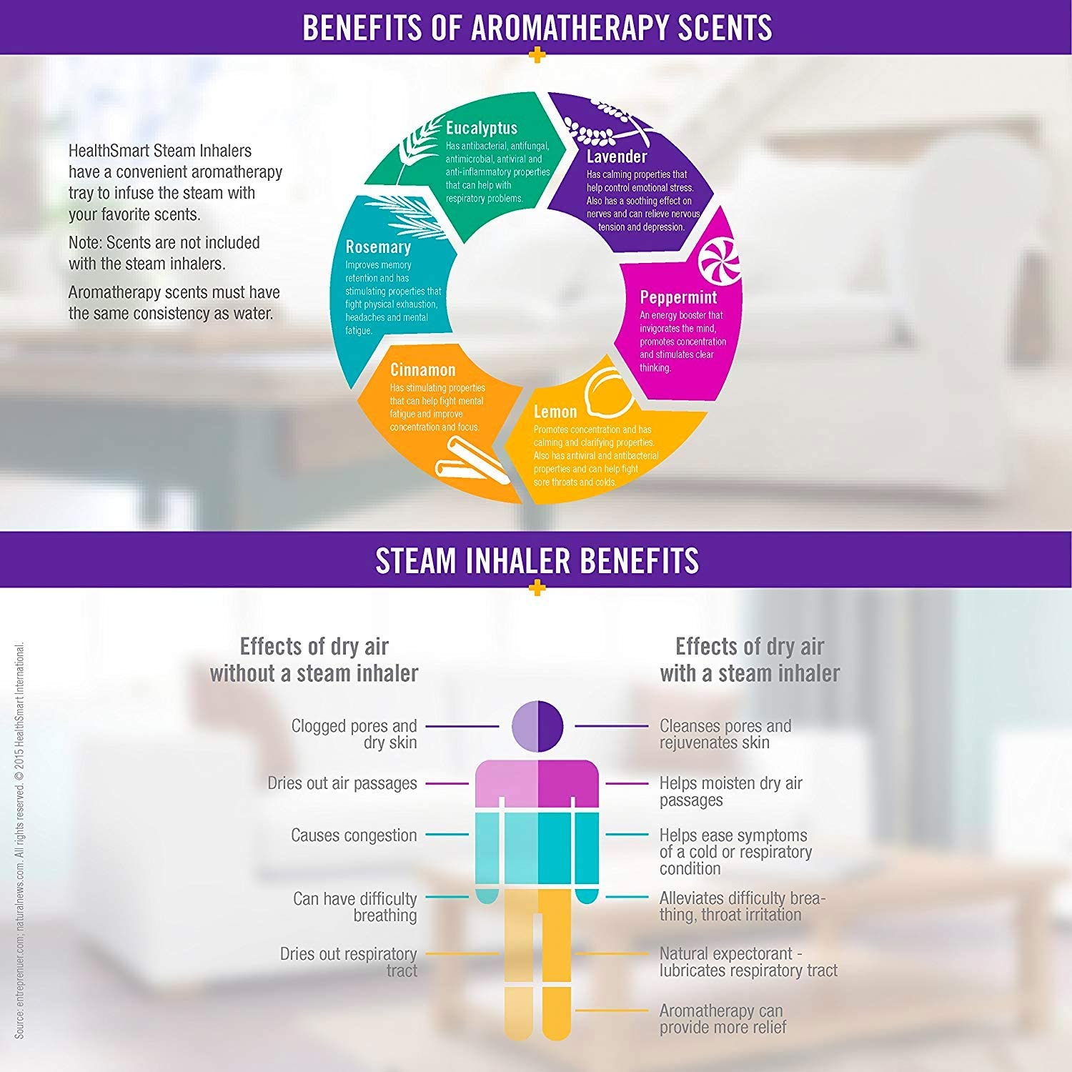 MABIS Facial Steamer, Steam Inhaler, Personal Humidifier, Vaporizer or ...