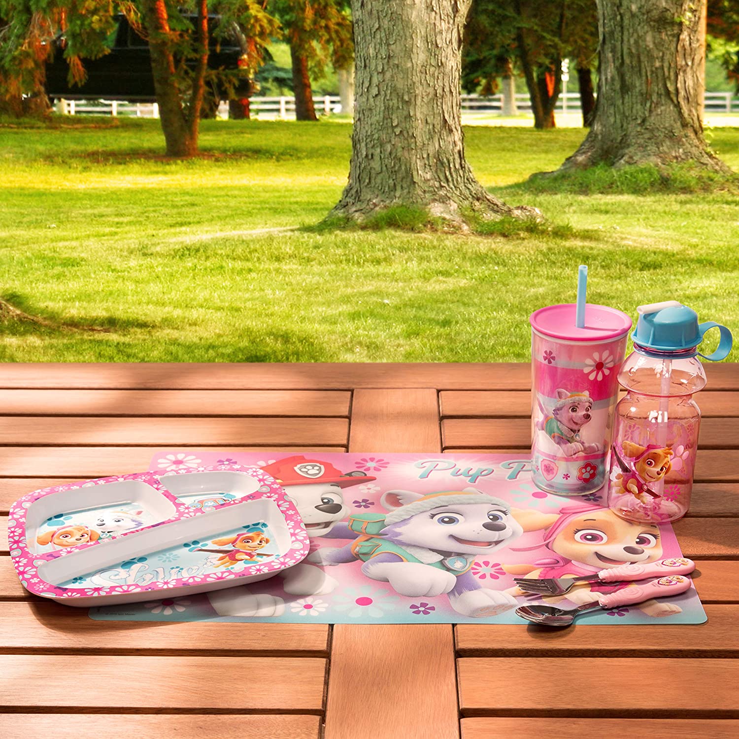 Zak Designs PWPE-0010-C Kids Divided Plates, Paw Patrol Marshall, Skye ...