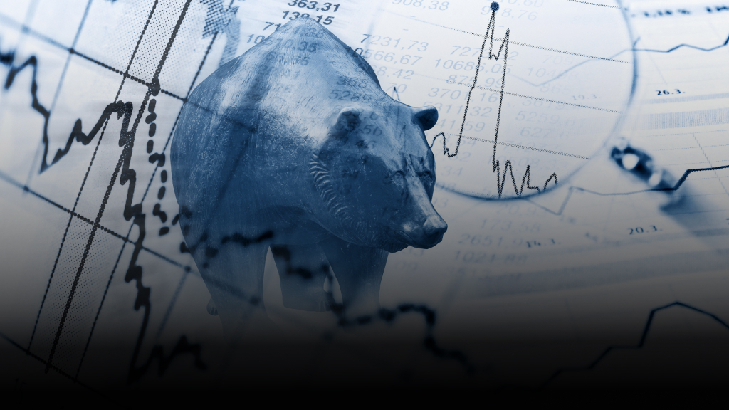 Saudi Bears Are Back | baraka