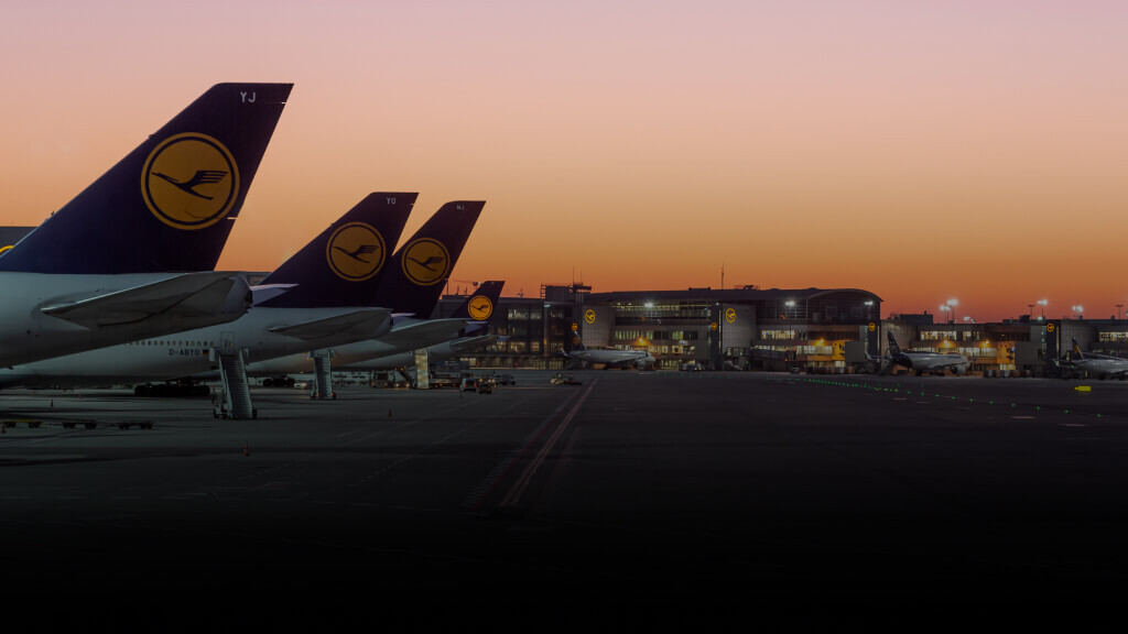 Soaring Skies | baraka